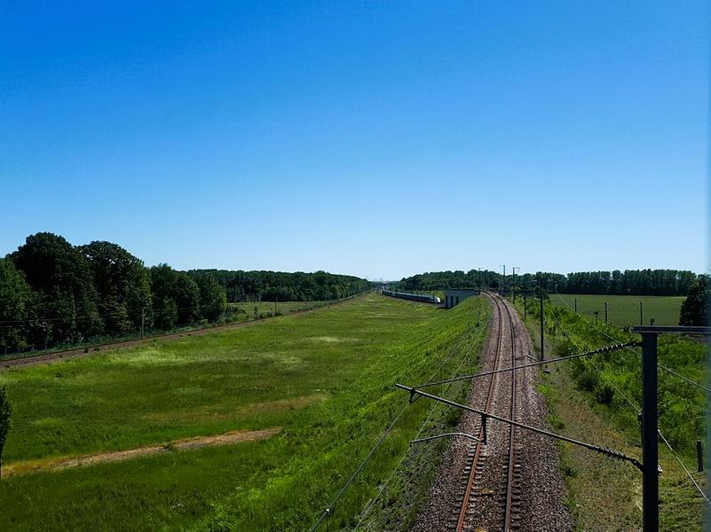 Forêt domaniale de Coubert - Tourisme